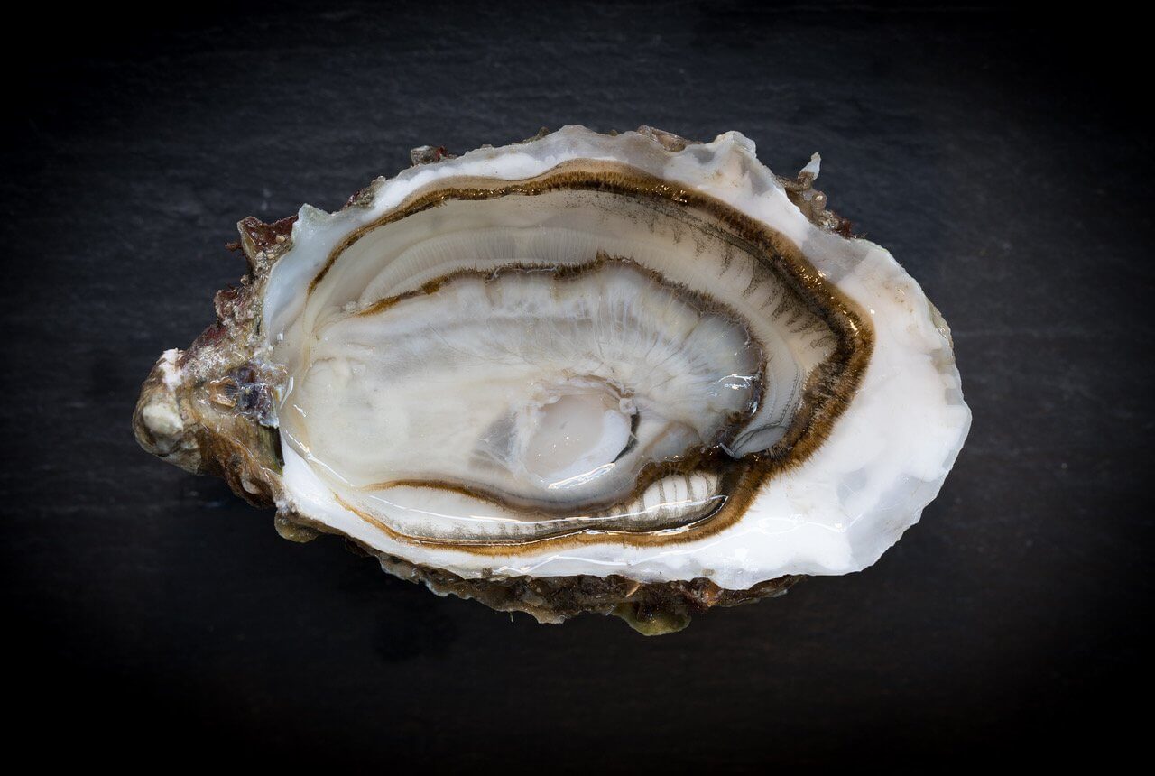 Nos huîtres creuses et plates - Les huitres de kermancy