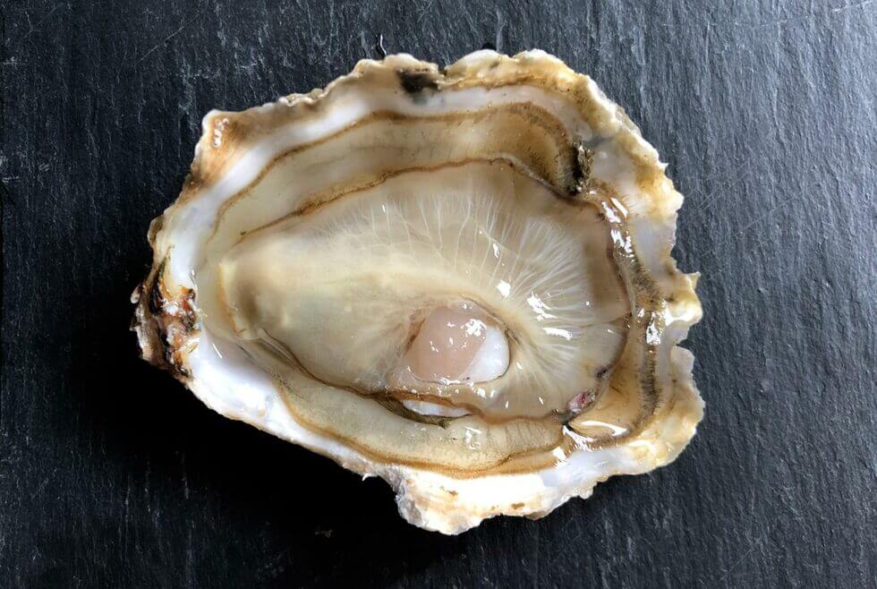 Nos huîtres creuses et plates - Les huitres de kermancy