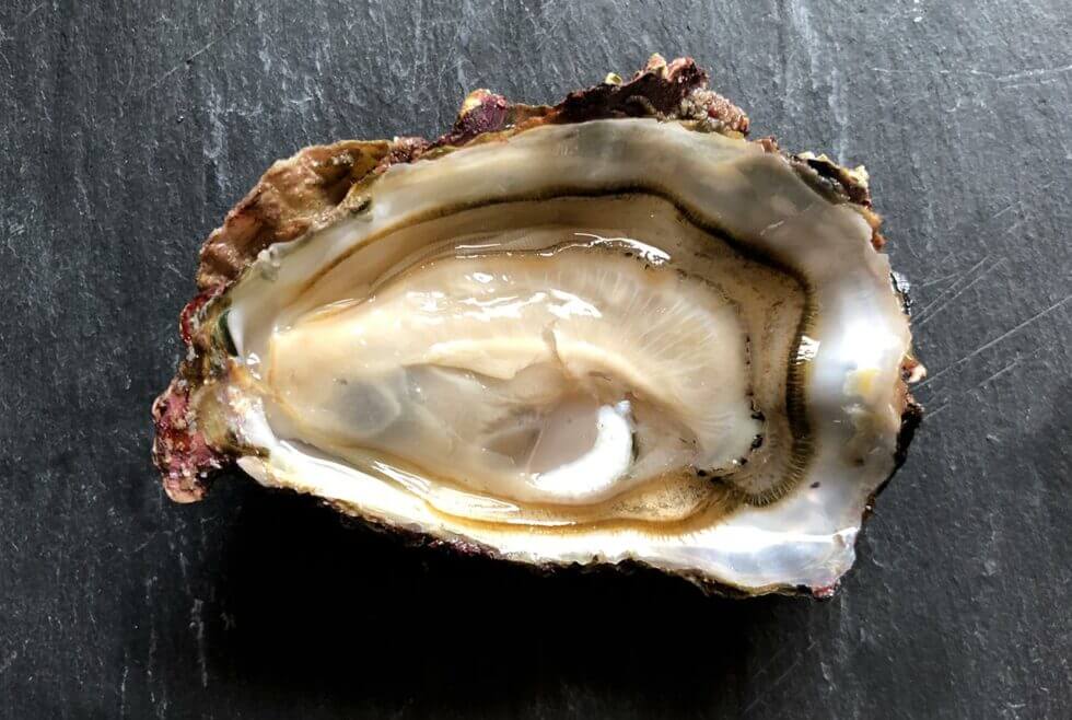 Nos huîtres creuses et plates - Les huitres de kermancy